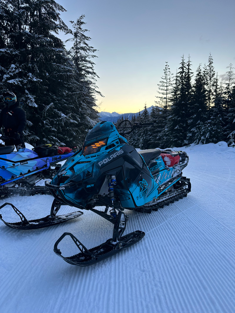 Muskoka Freerider Sledder Cast Giveaway - Deviant Ink